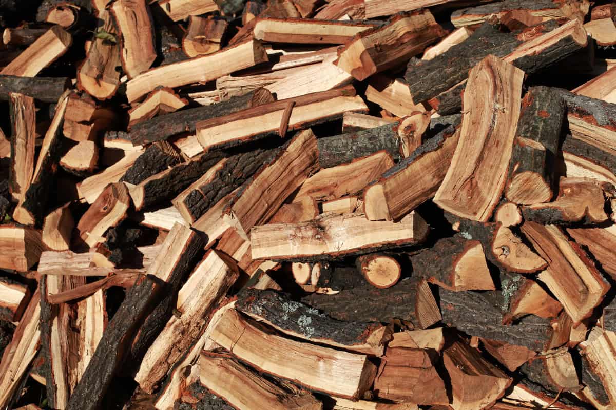 Fire Pit Firewood BTU Chart | Backyard Toasty